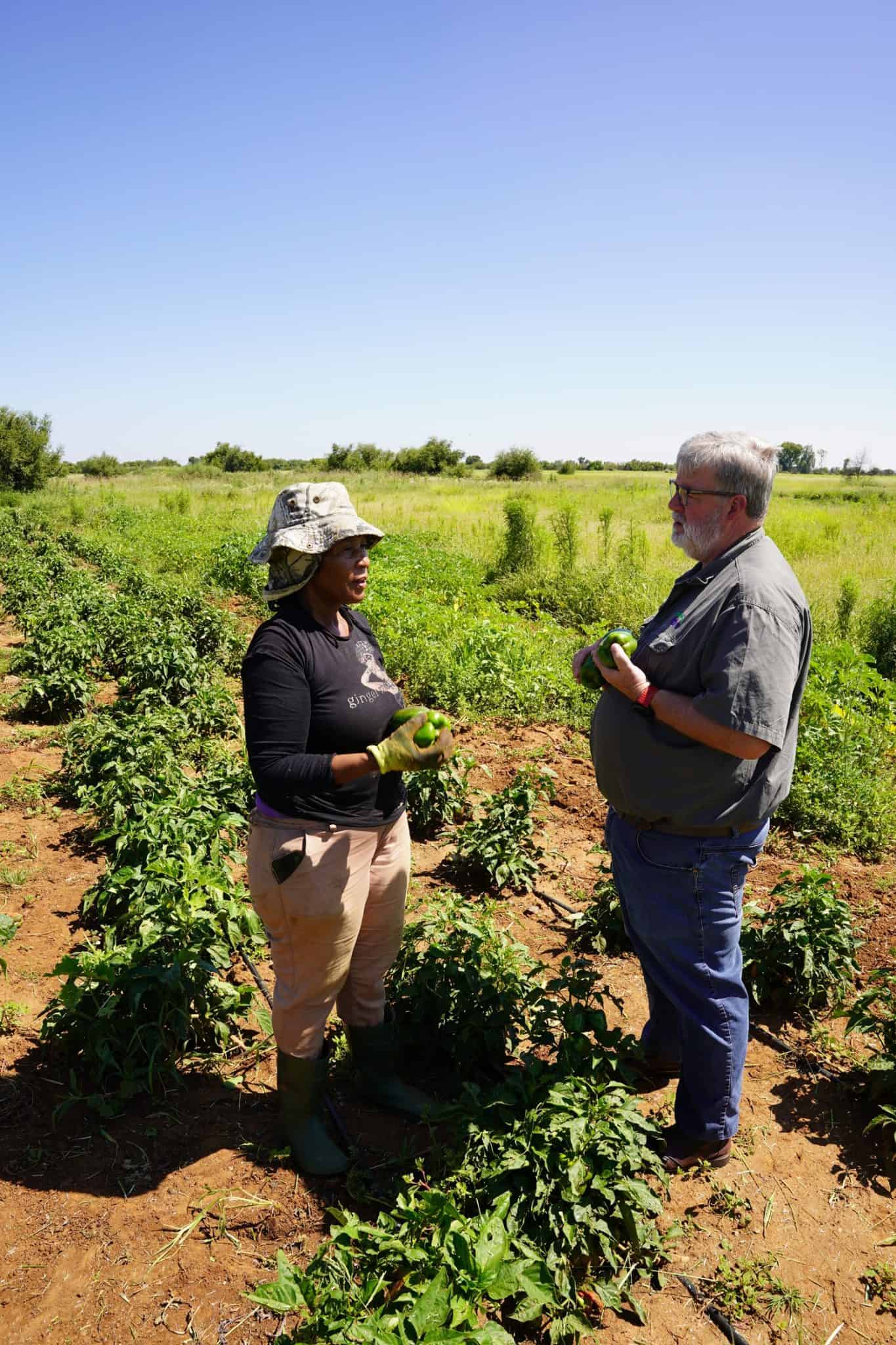 Agricultural Development Partnership celebrates first harvest - AfriForum