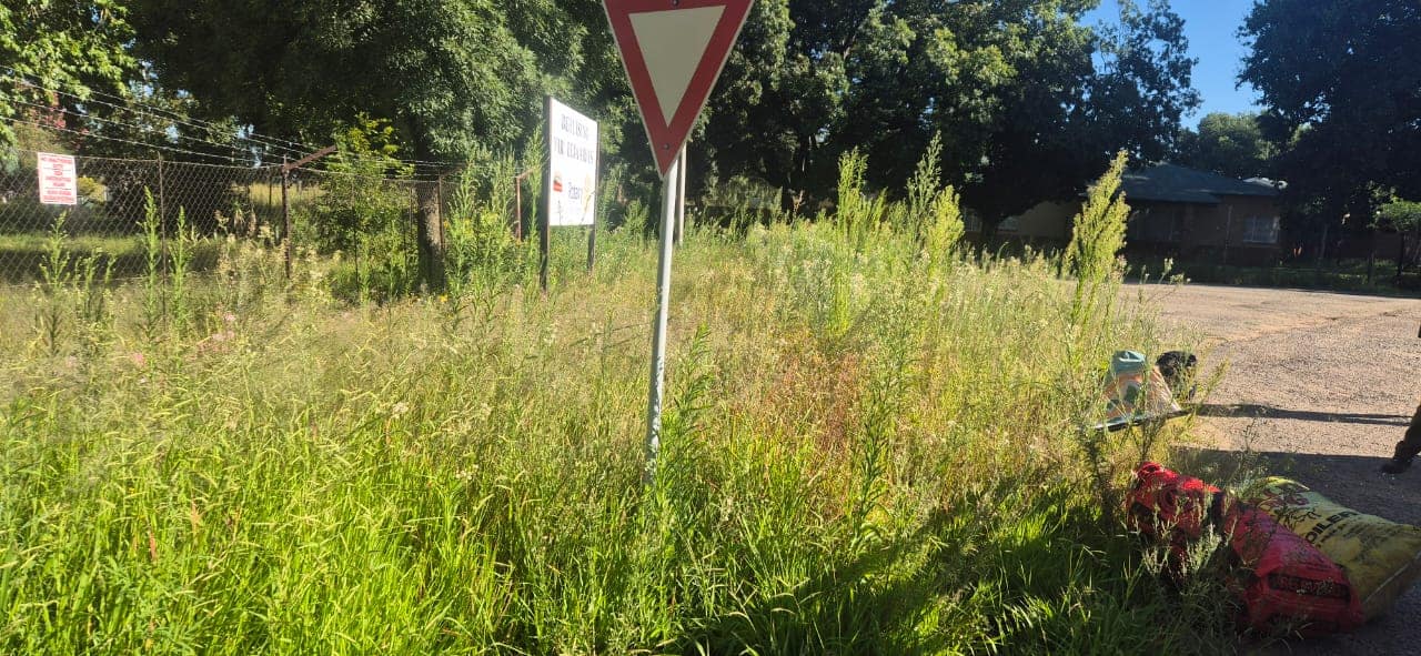 AfriForum branch in Viljoenskroon cleans area around Rotary houses ...